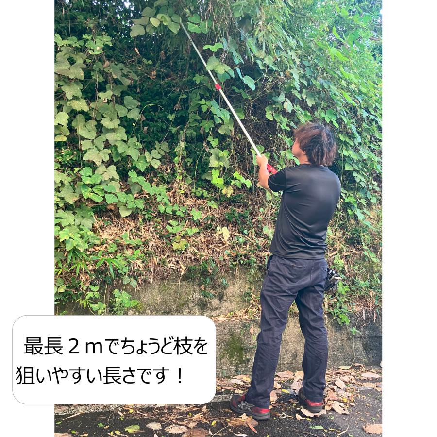 ちょうどいい2m 超軽量620g 鋸刃付き 大進 高枝切りバサミ たかえだきりばさみ 剪定鋏 太い枝 キャッチ機能 ノコギリ付き高枝切りバサミ : comcon株式会社 - 通販 ...