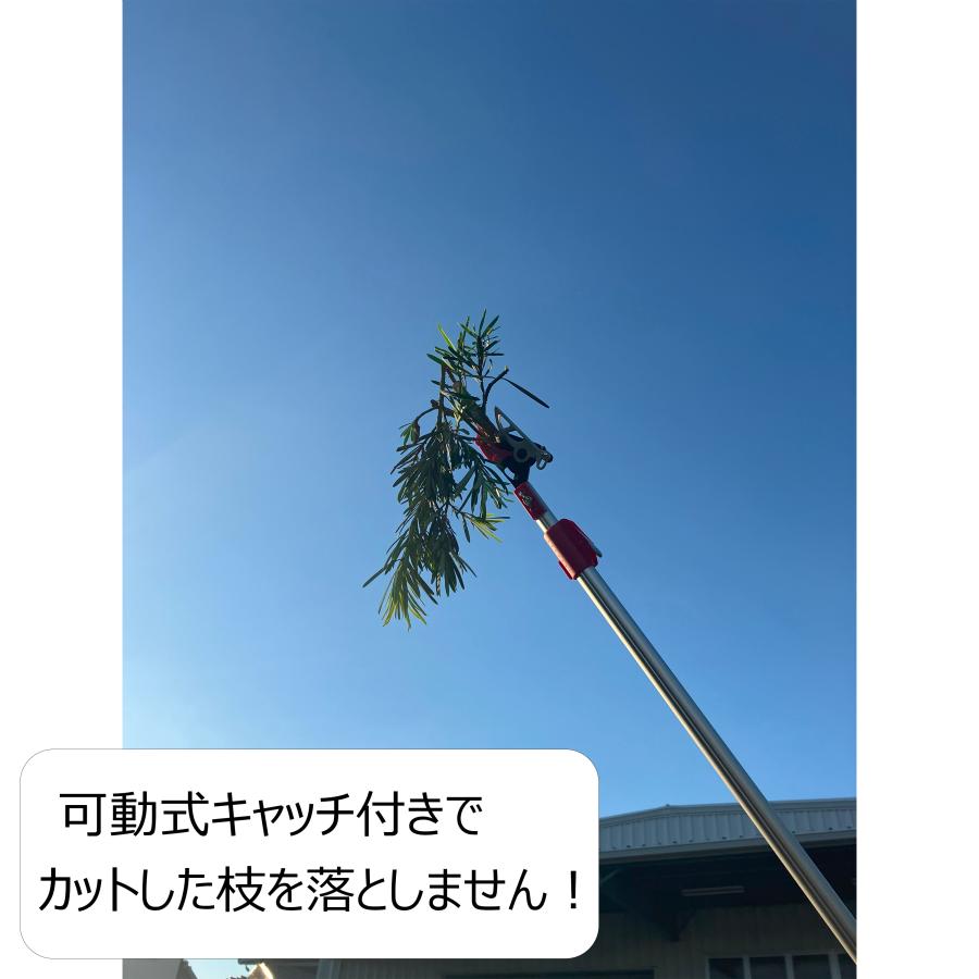 ちょうどいい2m 超軽量620g 鋸刃付き 大進 高枝切りバサミ たかえだきりばさみ 剪定鋏 太い枝 キャッチ機能 ノコギリ付き高枝切りバサミ : comcon株式会社 - 通販 ...