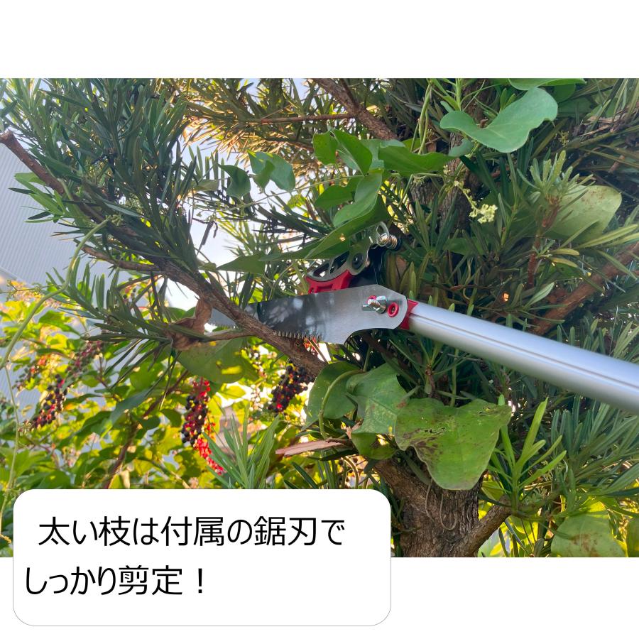 ちょうどいい2m 超軽量620g 鋸刃付き 大進 高枝切りバサミ たかえだきりばさみ 剪定鋏 太い枝 キャッチ機能 ノコギリ付き高枝切りバサミ : comcon株式会社 - 通販 ...