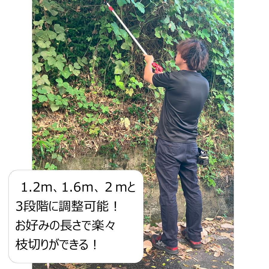 ちょうどいい2m 超軽量620g 鋸刃付き 大進 高枝切りバサミ たかえだきりばさみ 剪定鋏 太い枝 キャッチ機能 ノコギリ付き高枝切りバサミ : comcon株式会社 - 通販 ...
