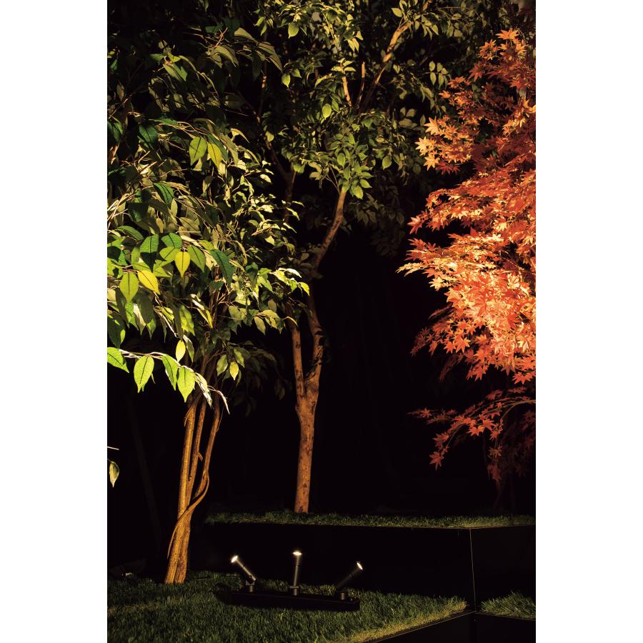 山田照明 エクステリア LEDスポットライト スパイク式 防雨 ミディアム15° 非調光 黒色 3000K 電球色:AD-3231-L : 照明器具のCOMFORT - 通販 - Yahoo ...