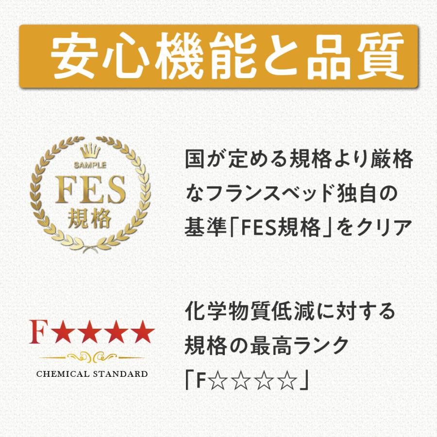 フランスベッド（FRANCEBED） 開梱設置付 レステックス 01FN 02FN 電動ベッド 介護ベッド 3モーター リクライニングベッド 介護用 シングル 国産マットレスセット RX ...