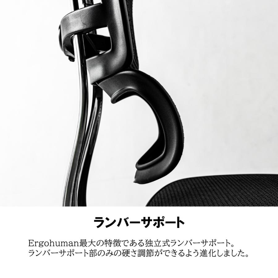 エルゴヒューマン 特典付き！ 【新基盤搭載モデル】エルゴヒューマン プロ2 オットマン内臓モデル EHP2-LPL-DR Ergohuman オフィスチェア フットレスト ヘッドレスト付き ...