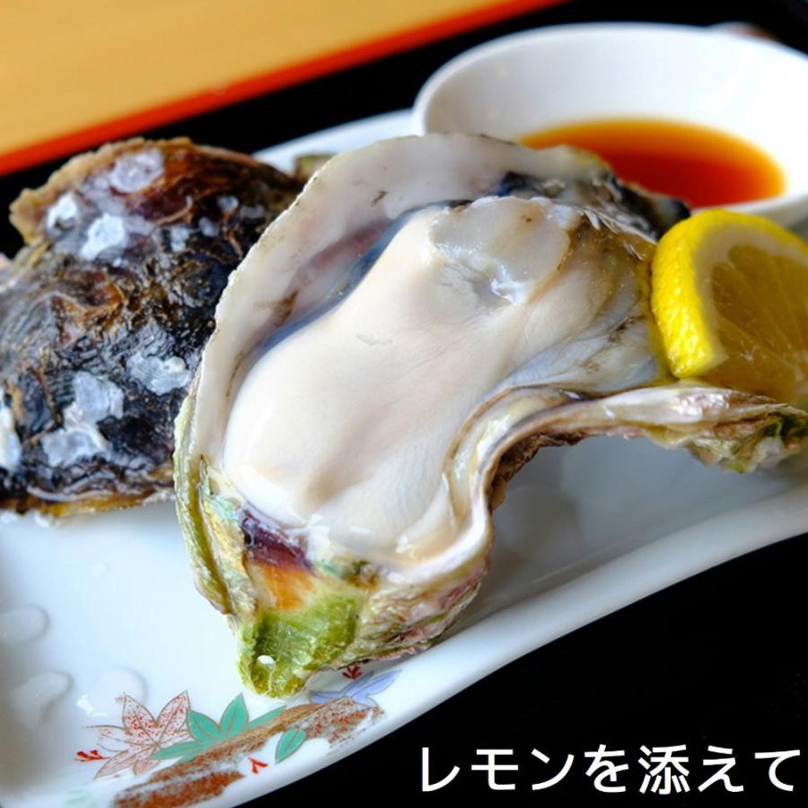 隠岐 ブランド 岩ガキ いわがき 清海 3Lサイズ 400g〜450g 10個セット 殻付き 岩牡蠣 生食用 冷凍せず生のままお届け 専用ナイフ 軍手 レシピ付き :3L10N:クラムプラス ...