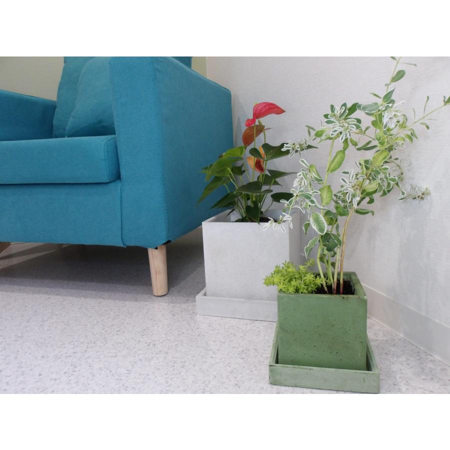 コンクリートプランター プランターのみ スクエアS : 00000001 : ConCon.Conヤフーショッピング店 - 通販 ...