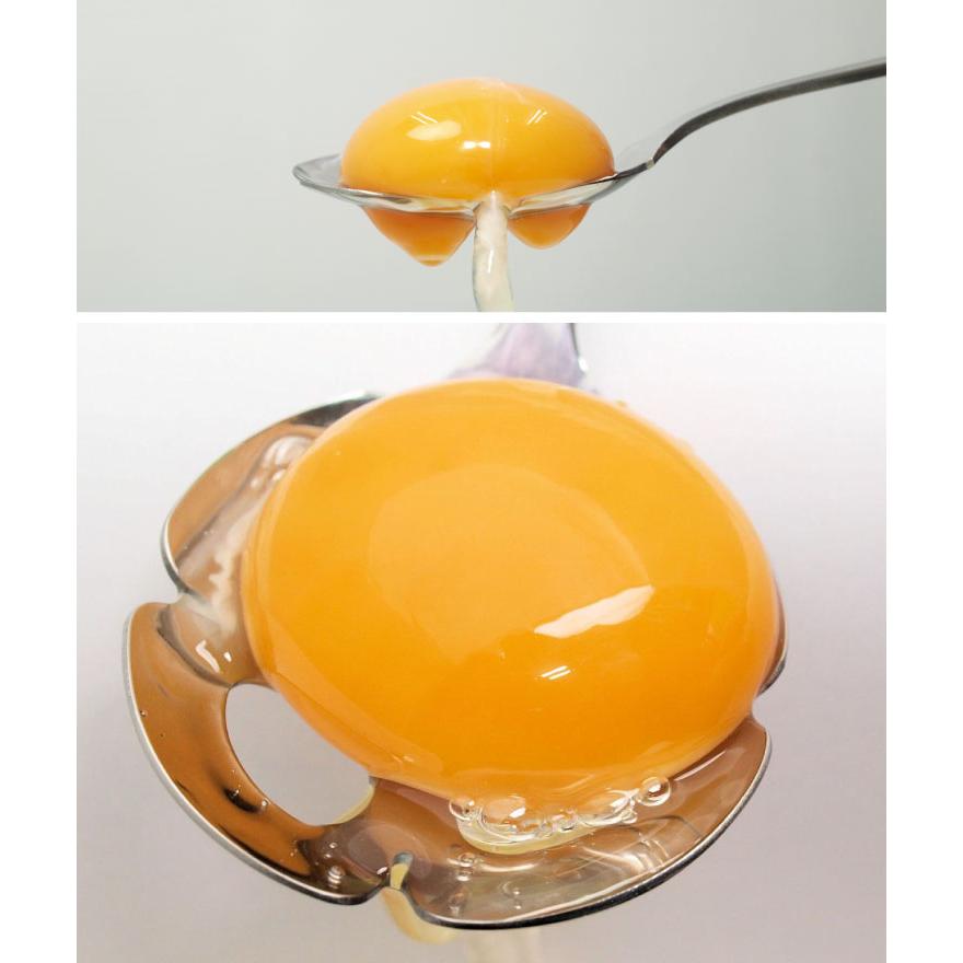 黄味取り名人 TP-101 三陽プレシジョン メール便 送料無料 黄身わけ器 たまご 分離器 調理器具 ステンレス製 : tp-101 : クッキングクロッカ - 通販 - Yahoo!ショッピング