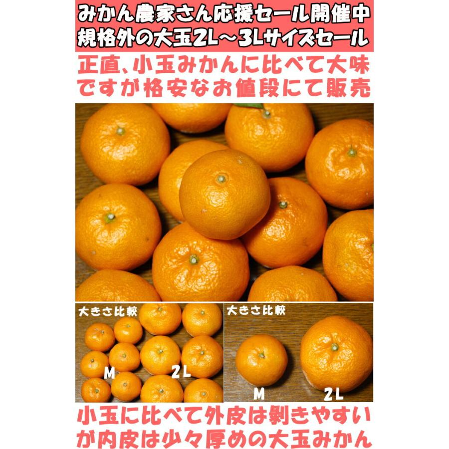 みかん 有田 訳あり 大玉 送料無料 和歌山 有田柑橘さんさん わけあり 温州 有田みかん 10kg 2L〜3L 訳アリ 家庭用 箱 買い ありたみかん 有田ミカン 農家直送 :arita ...