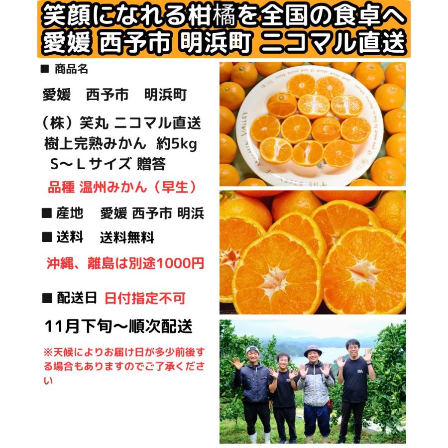 みかん 愛媛 明浜 甘い 美味しい 糖度 5kg s〜L 樹上完熟 早生 温州 愛媛みかん 小玉 中玉 秀品 お歳暮 贈答 : クックス産直ヤフー店 - 通販 - Yahoo!ショッピング