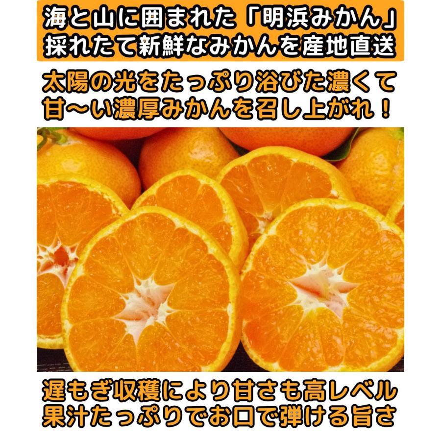 みかん 愛媛 明浜 甘い 美味しい 糖度 5kg s〜L 樹上完熟 早生 温州 愛媛みかん 小玉 中玉 秀品 お歳暮 贈答 : クックス産直ヤフー店 - 通販 - Yahoo!ショッピング