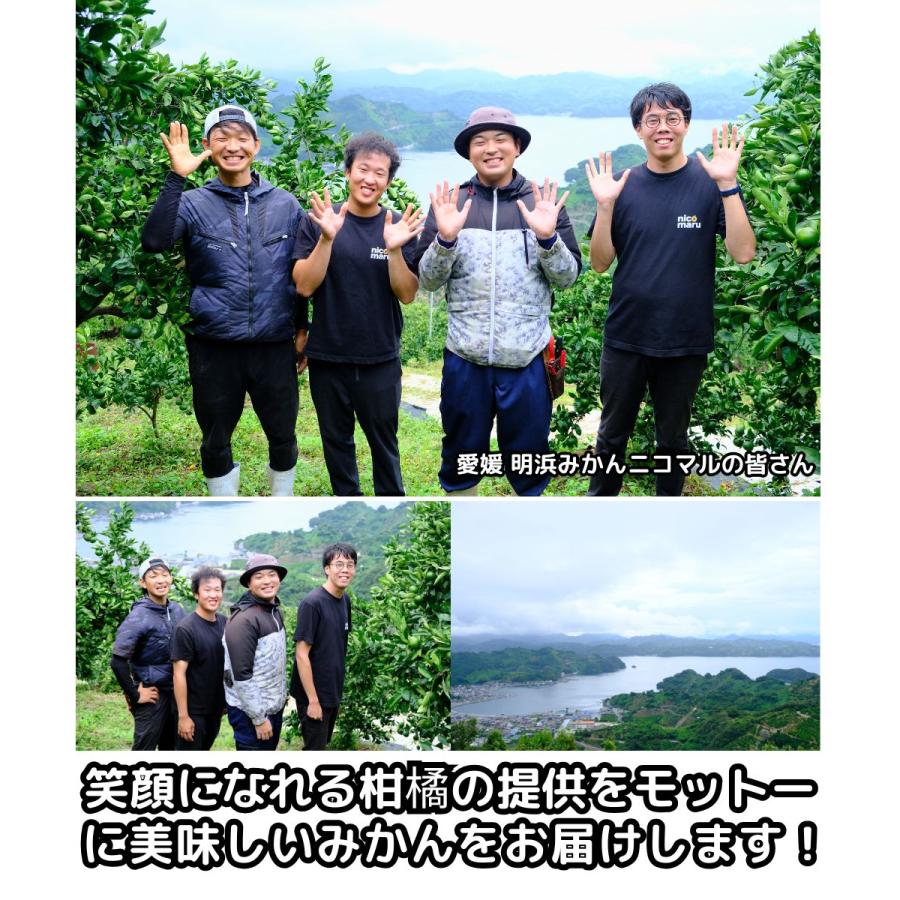 みかん 愛媛 明浜 甘い 美味しい 糖度 5kg s〜L 樹上完熟 早生 温州 愛媛みかん 小玉 中玉 秀品 お歳暮 贈答 : クックス産直ヤフー店 - 通販 - Yahoo!ショッピング