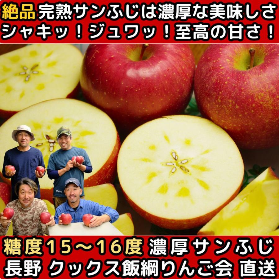りんご 長野 信州 完熟 サンふじ 約 3kg 6-12玉 家庭用 飯綱 訳あり 蜜入り しやすい もぎたて おいしい : クックス産直ヤフー店 - 通販 - Yahoo!ショッピング