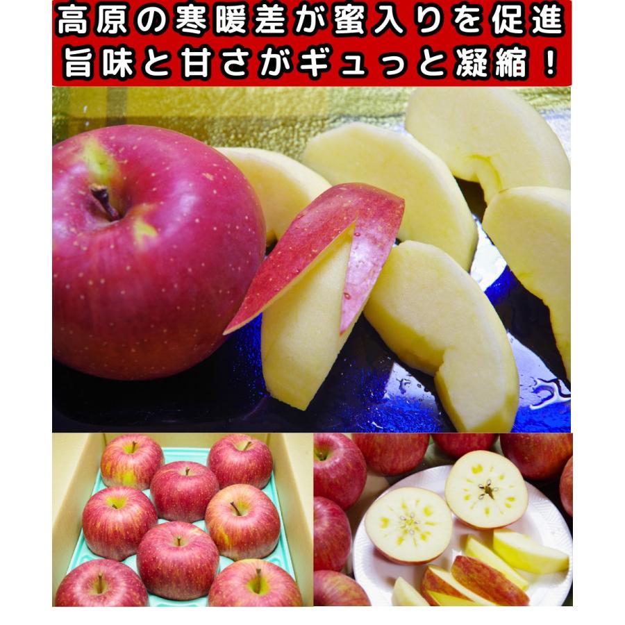 りんご 長野 信州 完熟 サンふじ 約 3kg 6-12玉 家庭用 飯綱 訳あり 蜜入り しやすい もぎたて おいしい : クックス産直ヤフー店 - 通販 - Yahoo!ショッピング