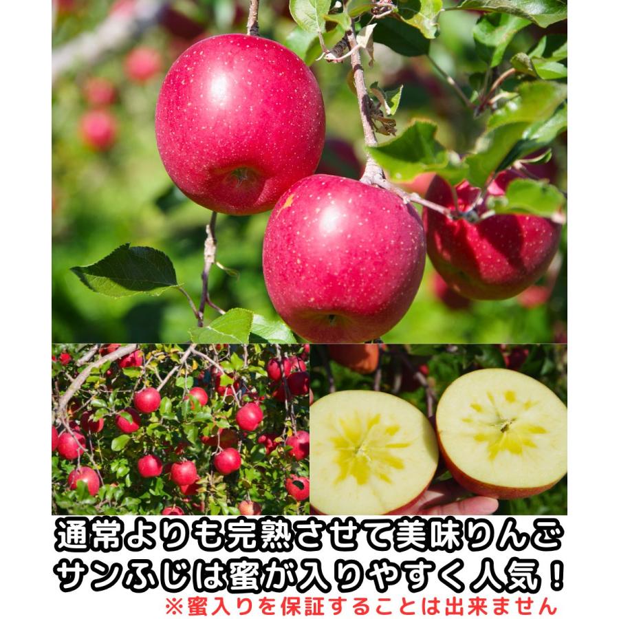 りんご 長野 信州 完熟 サンふじ 約 3kg 6-12玉 家庭用 飯綱 訳あり 蜜入り しやすい もぎたて おいしい : クックス産直ヤフー店 - 通販 - Yahoo!ショッピング