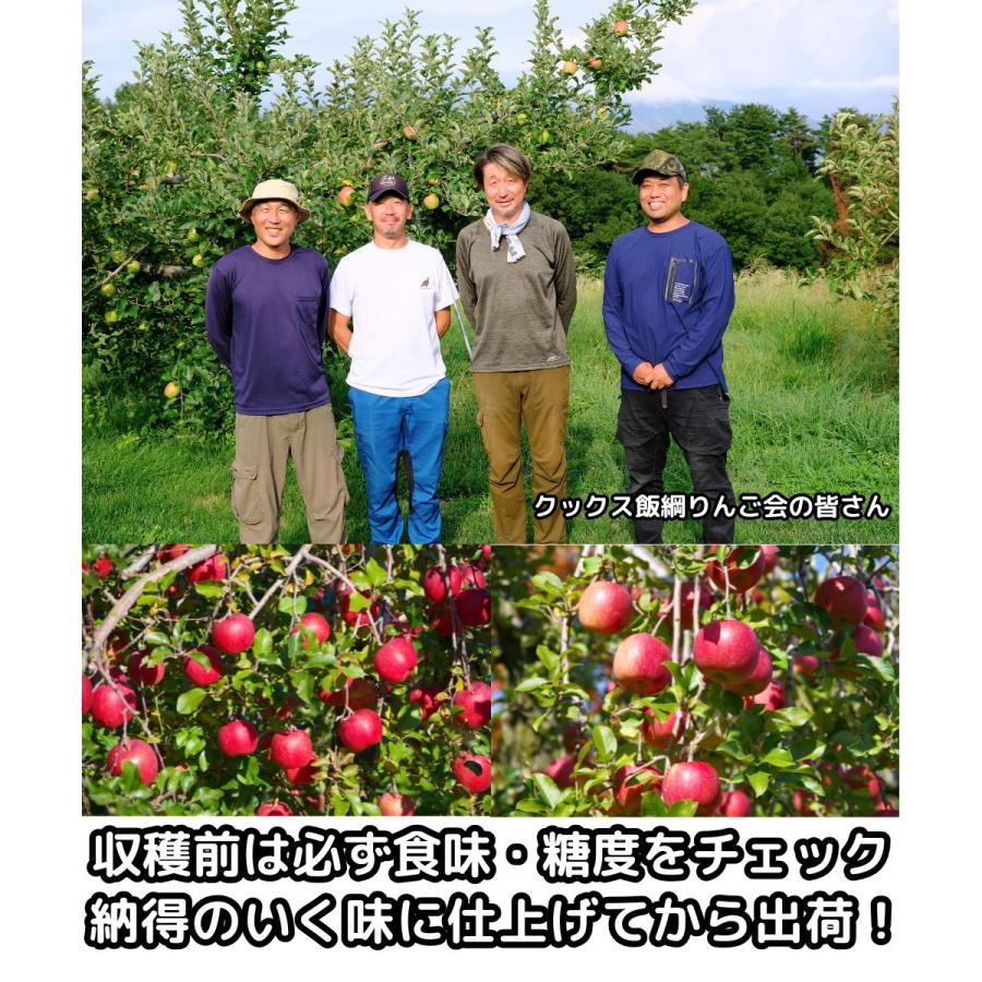 りんご 長野 信州 完熟 サンふじ 約 3kg 6-12玉 家庭用 飯綱 訳あり 蜜入り しやすい もぎたて おいしい : クックス産直ヤフー店 - 通販 - Yahoo!ショッピング