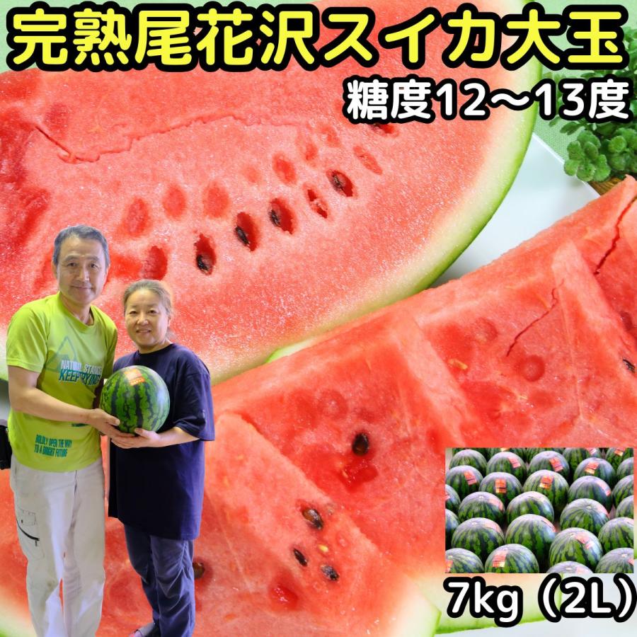 スイカ 甘い 糖度 贈答 山形 尾花沢 すいか ギフト 2L 1玉 約7kg 直送 西瓜 羅王 ザ・スィート お供え お盆 : クックス産直ヤフー店 - 通販 - Yahoo!ショッピング