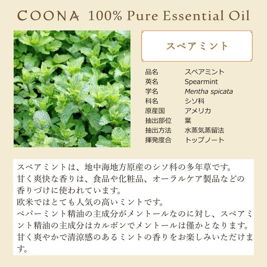 スペアミント 10ml 100％ 天然精油【エッセンシャルオイル アロマオイル 精油】Spearmint :E023NA151F-10:アロマ ...