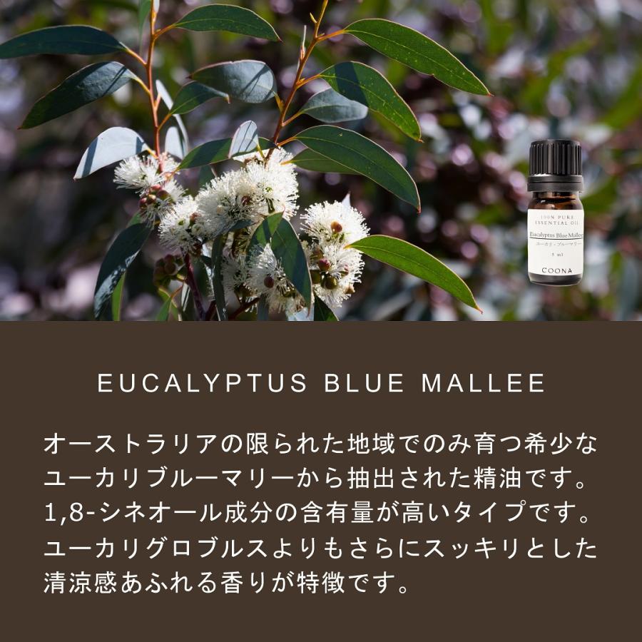 COONA（クーナ） ユーカリ 3種 アロマ セット 精油 アロマオイル エッセンシャルオイル 5 ml×3本 set : アロマ&石けん専門 ...