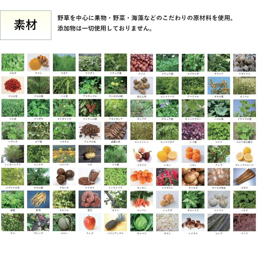 やそうの輝酵素 5gX30包 凝縮練り よもぎ,高麗人参等の野菜によるエキス アミノ酸 ミネラル 食物繊維 アミノレプリン酸 : クーセレクトストア - 通販 - Yahoo!ショッピング