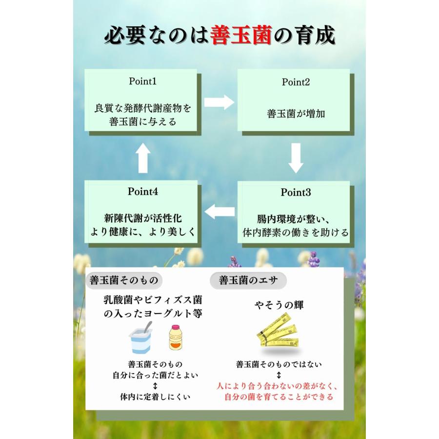 やそうの輝酵素 5gX30包 凝縮練り よもぎ,高麗人参等の野菜によるエキス アミノ酸 ミネラル 食物繊維 アミノレプリン酸 : クーショップ - 通販 - Yahoo!ショッピング