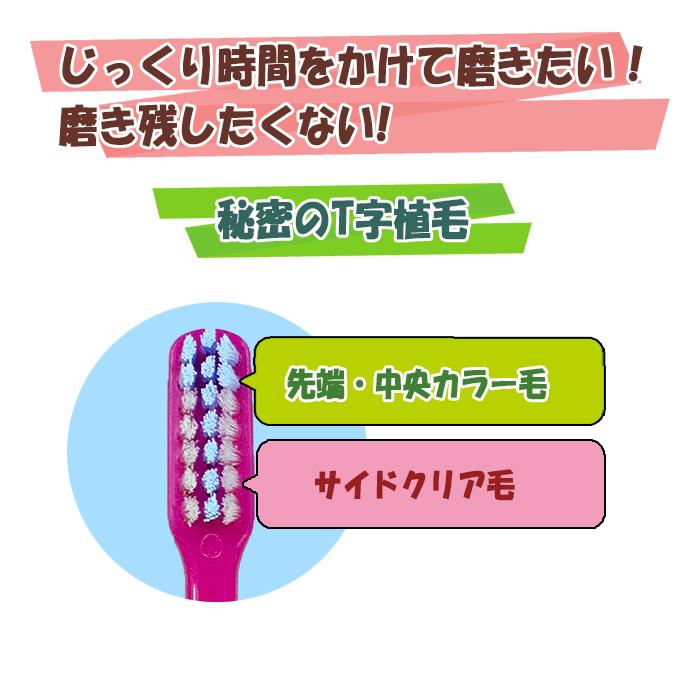 Ciメディカル 歯ブラシ ci PRO PLUS M S ふつう やわらかめ 30本 セット 大人 まとめ買い ciメディカル コンパクト T ...