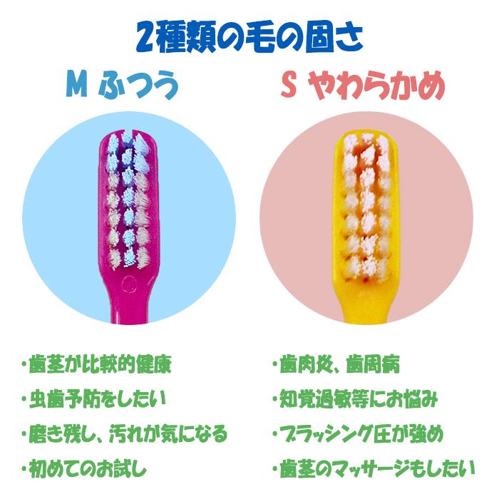 Ciメディカル 歯ブラシ ci PRO PLUS M S ふつう やわらかめ 3本 セット 大人 まとめ買い ciメディカル コンパクト ...