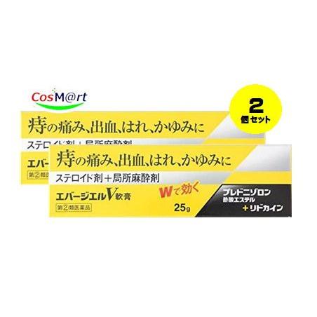 【2個セット】 【ゆうパケットにて発送】 【指定第2類医薬品】 エバージエルV軟膏 25g (4987307240642-2) : CosM@rtPlus - 通販 - Yahoo!ショッピング