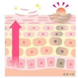 イポケアEX 18ml 角質ケア 美容液 日本製 ブレーンコスモス : COSMESTREET - 通販 - Yahoo!ショッピング