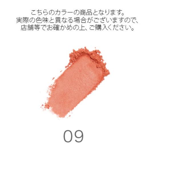 RMK (#09)ピュア コンプレクション ブラッシュ #デザート ブルーム 2.3g(W_N)(メール便可) : コスメレシピ ヤフー店 - 通販 - Yahoo!ショッピング