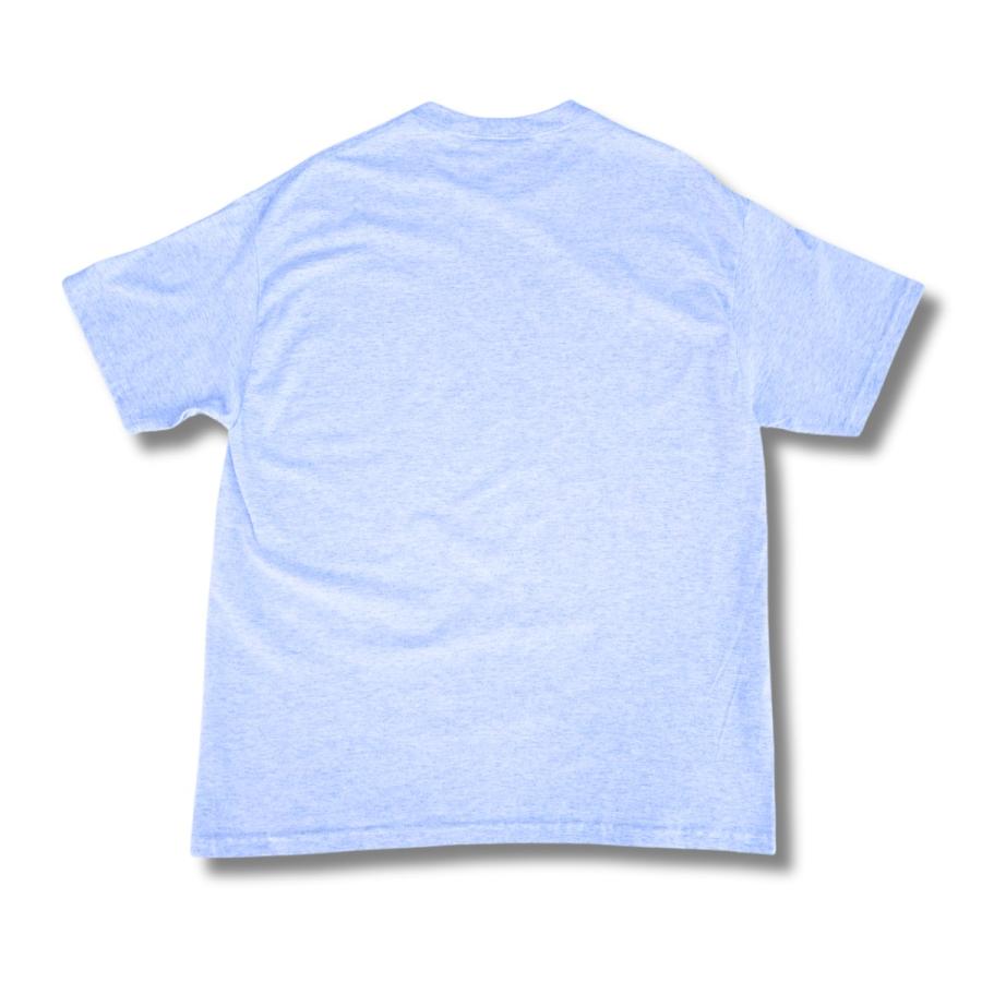 CHI-BEE ネートーベン Tシャツ (ash) 半袖 CHIBEE チービー ユニセックス : ch77 : COUCH POTATO ...
