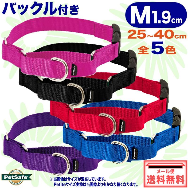 PetSafe 【Mサイズ1.9cm幅・25〜40cm】プレミアカラー with クイックスナップ・ハーフチョーク・ペットセーフのバックル付きマーチンゲール首輪・中型犬・大型犬 ...