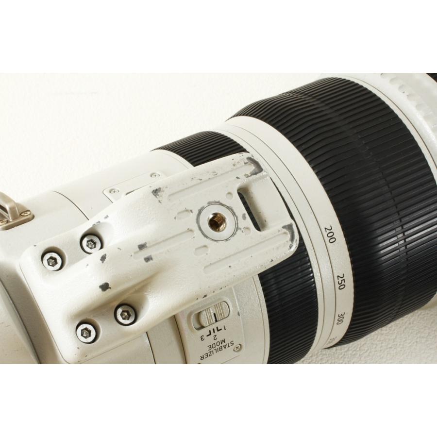 キヤノン Canon EF 200-400mm F4L IS USM エクステンダー 1.4× 極上品ランク : Crew・actショップ - 通販 - Yahoo!ショッピング