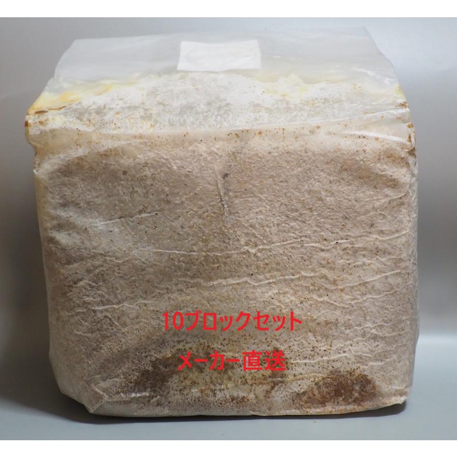 在庫確認後に納期ご連絡 】 KBファーム KBカワラ 1ケース(10個入) メーカー直送 : Crimson meteor - 通販 - Yahoo!ショッピング