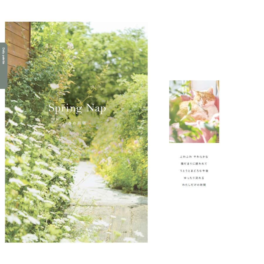 サンゲツ リザーブ sangetsu ReSERVE 2024-2027.5 生活の色彩 RE55057 RE55058 RE55059 RE55060 RE55061 : クロス・ロード ...