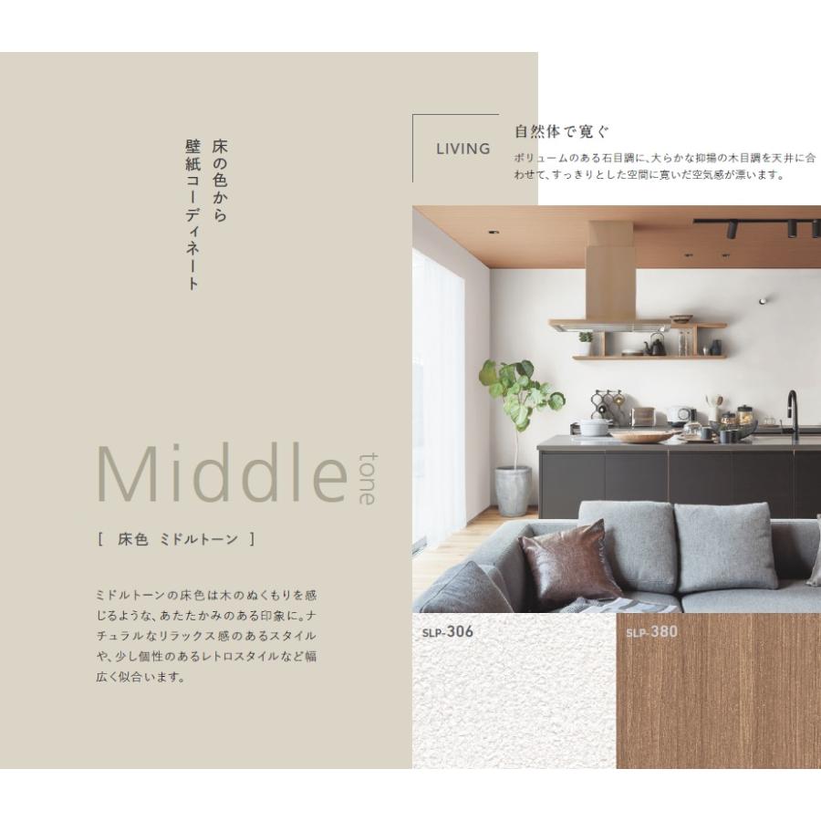 SL PLUS シンコール SINCOL SL-PLUS 2025.5.21-2027.5 SLP376 SLP377 SLP378 SLP379 SLP380 SLP381 : クロス ...