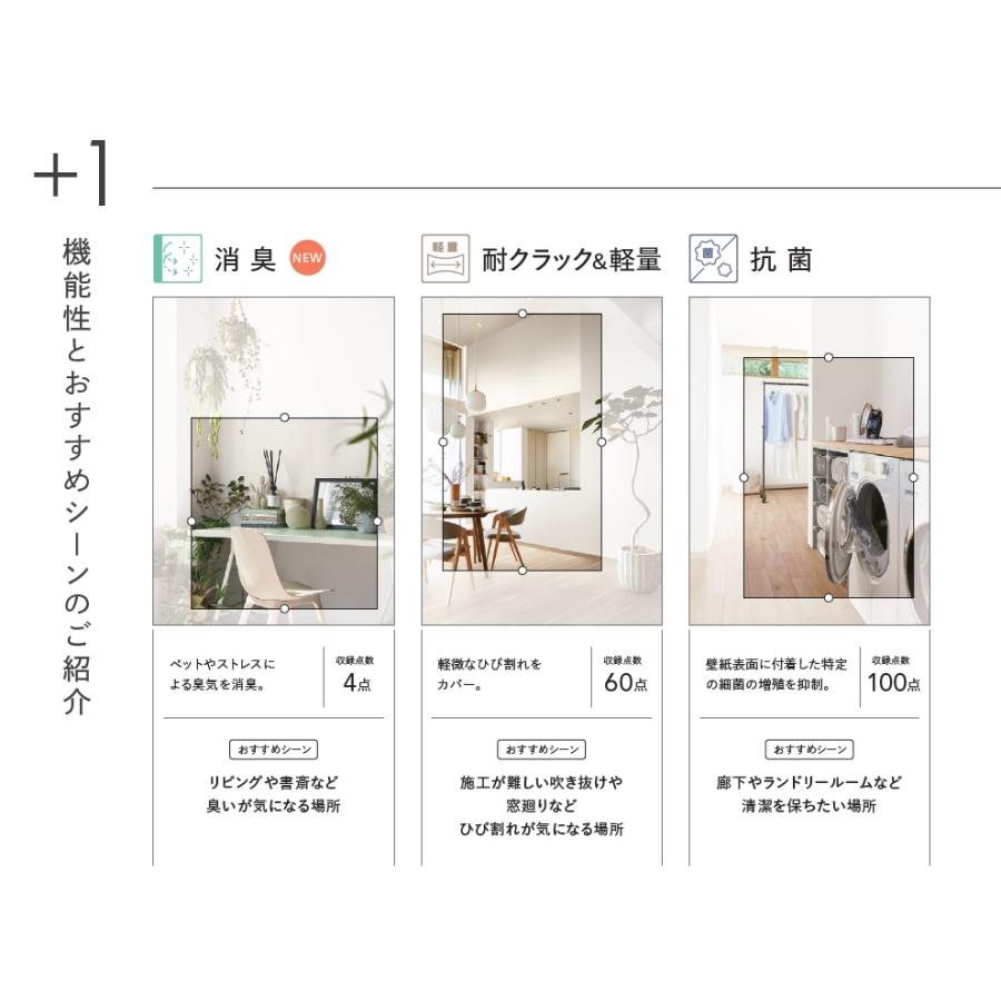 SL PLUS シンコール SINCOL SL-PLUS 2025.5.21-2027.5 SLP400 SLP401 SLP402 SLP403 SLP404 SLP405 : クロス ...