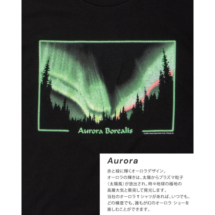 コットンエクスプレッション Cotton Expressions クルーネック 半袖 Tシャツ カットソー オーバーサイズ ユニセックス 天文学 宇宙 動物 科学 : Crouka Yahoo ...