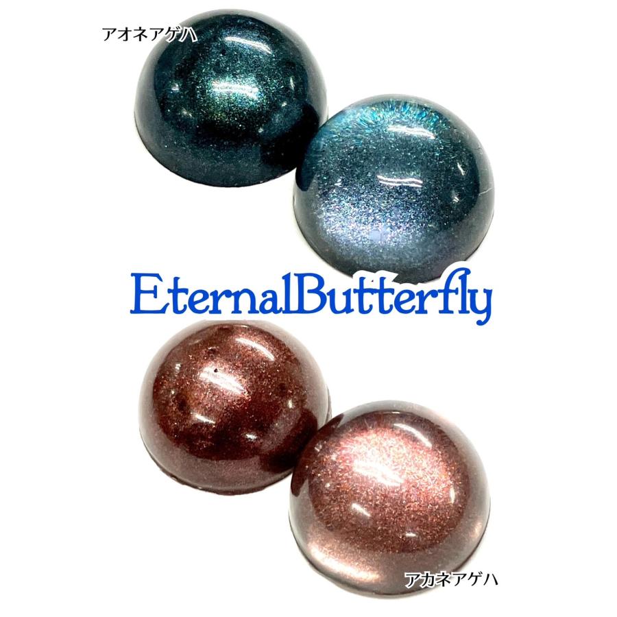 【限定パウダ−】EternalButterfly【数量限定】 : gentei526 : Crystal Aglaia - 通販 - Yahoo!ショッピング