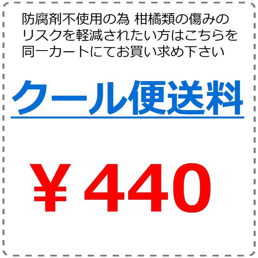 ご購入者様オプション クール便をご希望の方はこちらを同一カートにてお買い上げ下さい : Cyber Space Outlet - 通販 - Yahoo!ショッピング