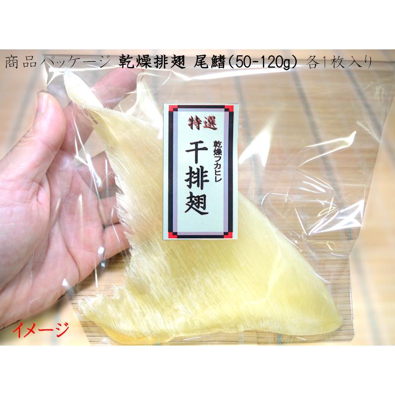 フカヒレ 乾燥排翅 尾鰭（50-120g）86g 1枚入 : 中国貿易公司ctcオンラインショップ - 通販 - Yahoo!ショッピング