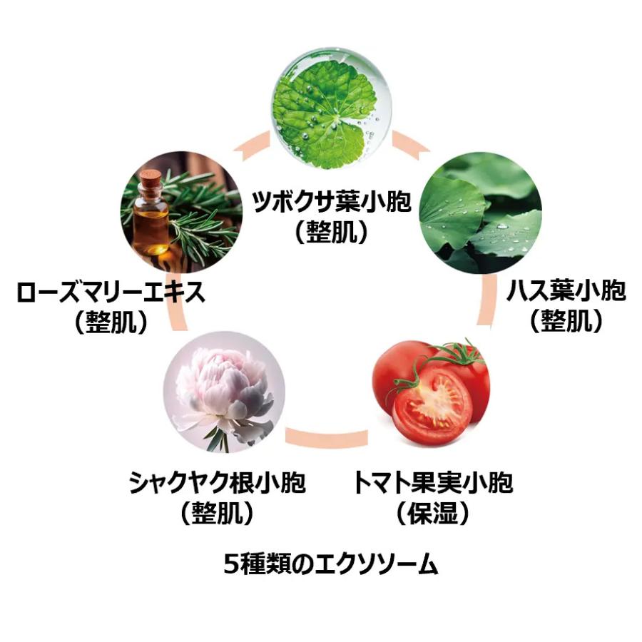 SPICARE V3 スピケア V3ファンデーション インテリジェントファンデーション 15g SPICARE【公式リーフレット付/正規品】 : CUBE - 通販 - Yahoo!ショッピング