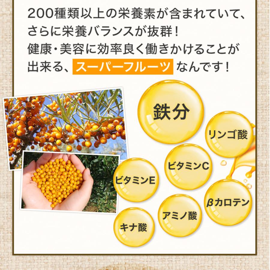 サジー サジーワン種子オイルカプセル 60粒入 サジーベリー サプリメント 美容 健康 ビタミンE SajiOne オメガ3 公式 送料無料 : os60 : サジーワンオンラインショップ ...