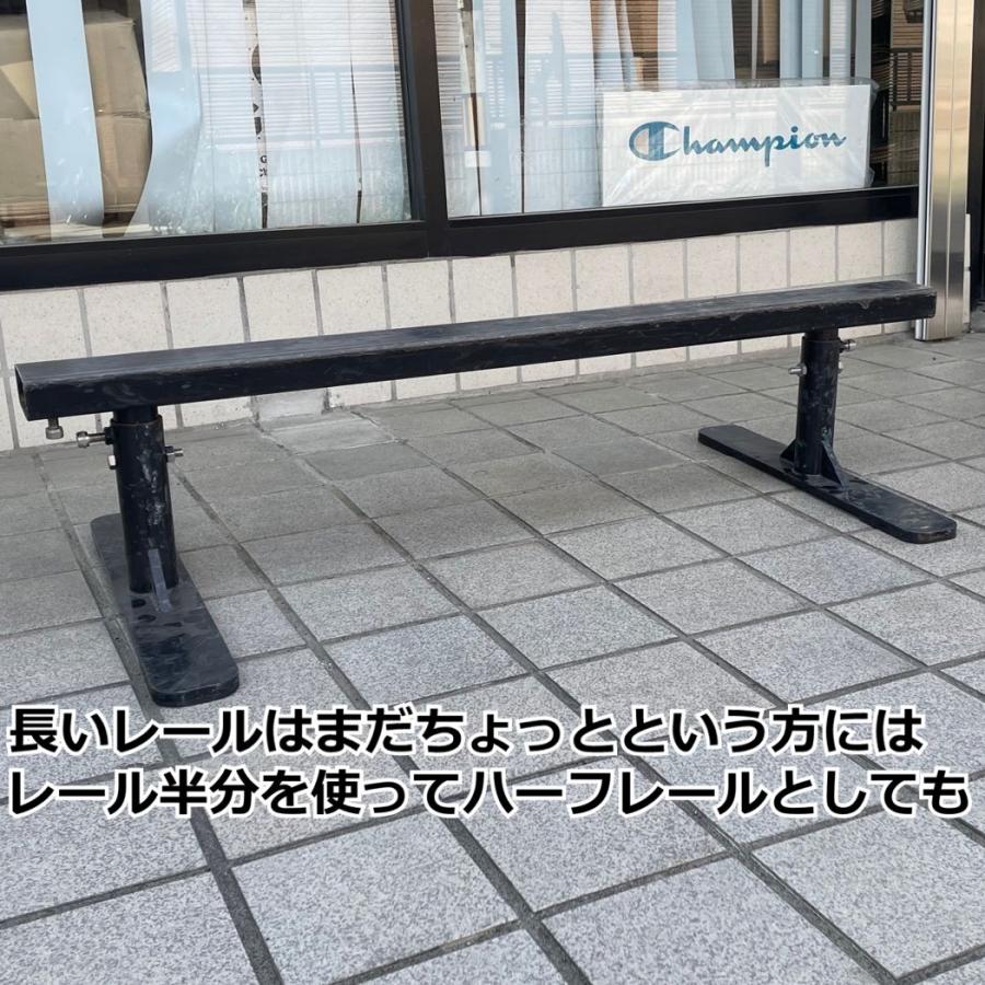 往復送料無料 1か月 レンタルレール フラットレール STS Skate Tool Supply スケボー スケートボード BMX インライン ...