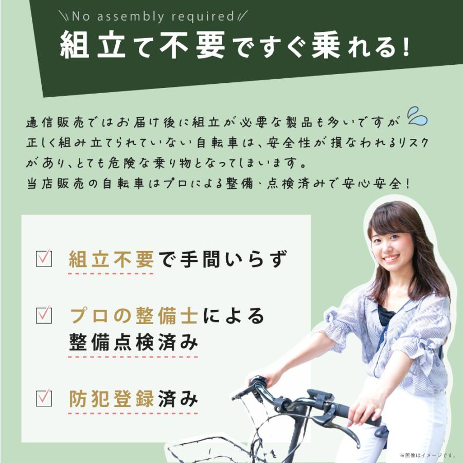 PELTECH ((10/15は3000円クーポン))【ペルテック自転車ポイント+2%】電動アシスト自転車 ペルテック 20型 ミニベロEカーゴ 外装7段変速 GRC-515L (8Ah ...