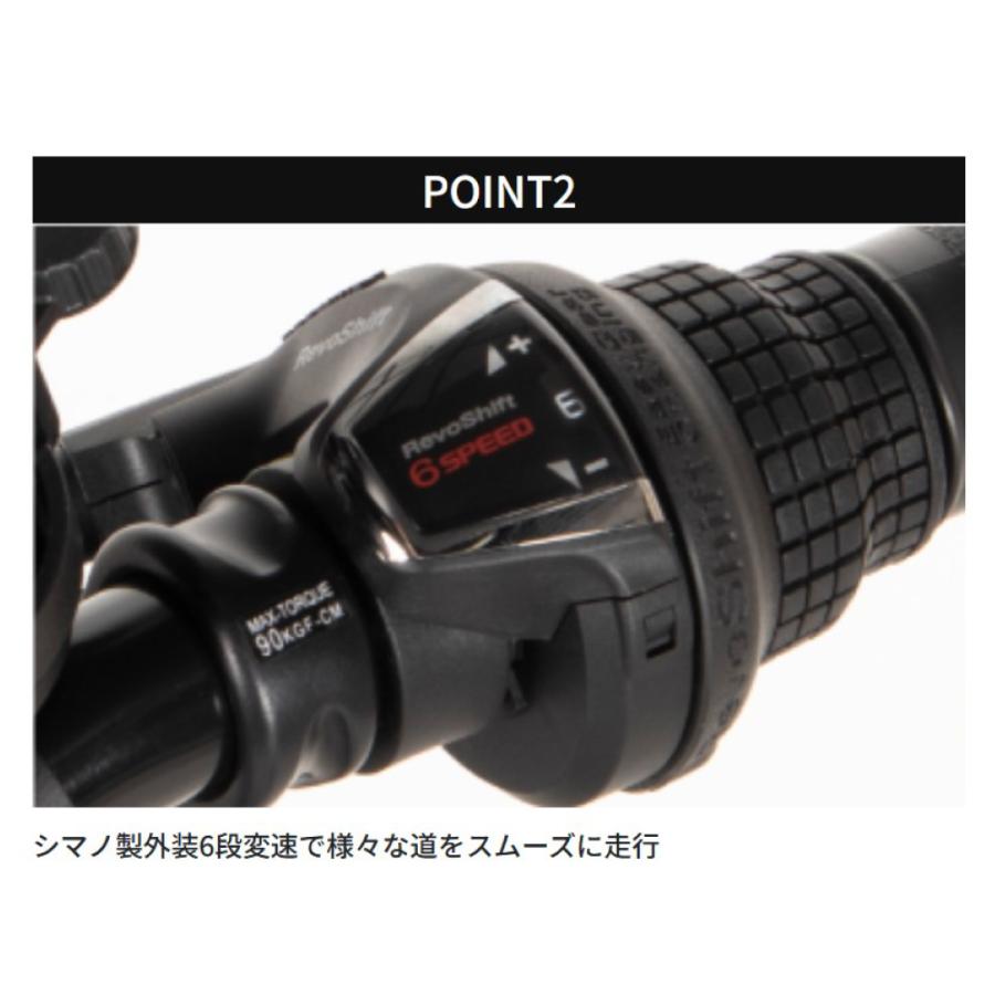 電動アシスト自転車 PELTECH ペルテック 20型 電動アシスト折り畳み 外装6段 TDN-208L (8Ah) : tdn-208l-8ah : サイクルエクスプレス - 通販 ...