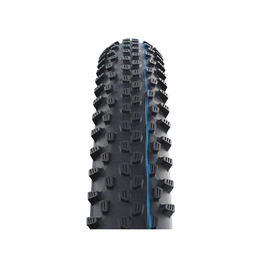 (特セール)シュワルベ（SCHWALBE） レーシングレイ SUPER GROUND（ADDIXスピードグリップ）TL-EASY MTBタイヤ ...