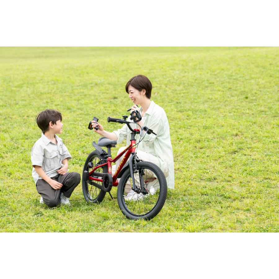 D-bike Dバイク D-Bike D-BIKE Master Fit 16 D-バイク マスターフィット 男の子 幼児自転車 子供 16インチ 2歳半〜6歳 [D-BIKE 16 ...