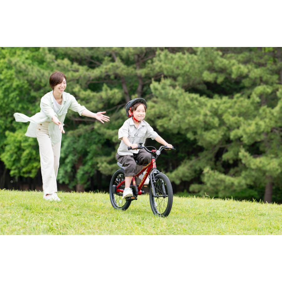 D-bike Dバイク D-Bike D-BIKE Master Fit 16 D-バイク マスターフィット 男の子 幼児自転車 子供 16インチ 2歳半〜6歳 [D-BIKE 16 ...