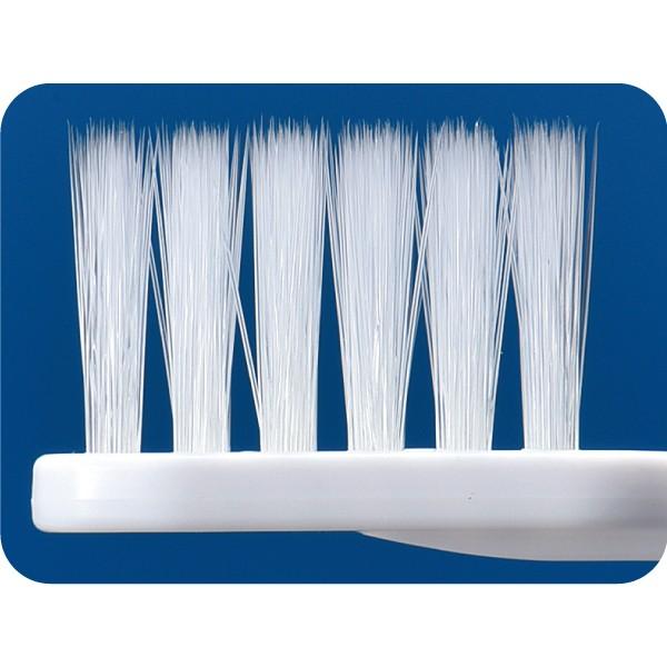 システマ 歯ブラシ ライオン LION Systema AX 44M(ふつう) 12本入 : 歯科医院専売品のデンタルフィット - 通販 - Yahoo!ショッピング