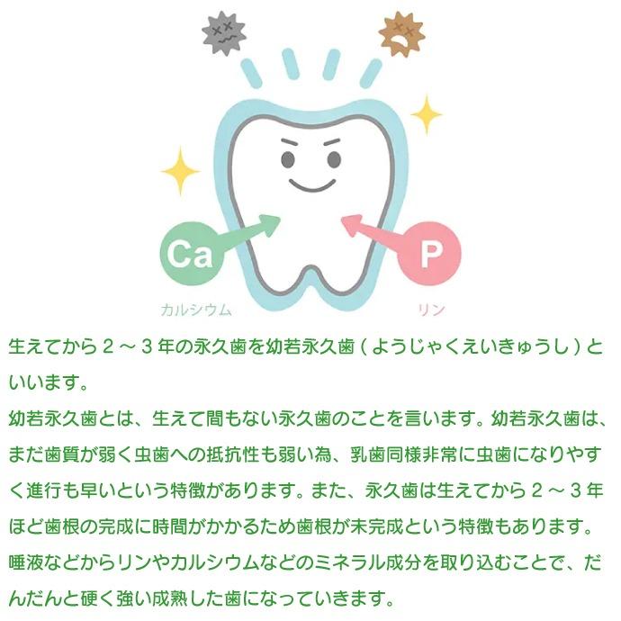 R.O.C.S. (ロックス) PRO ジュニア チョコ＆キャラメル味 1本(74g) : 歯科医院専売品のデンタルフィット - 通販 - Yahoo!ショッピング