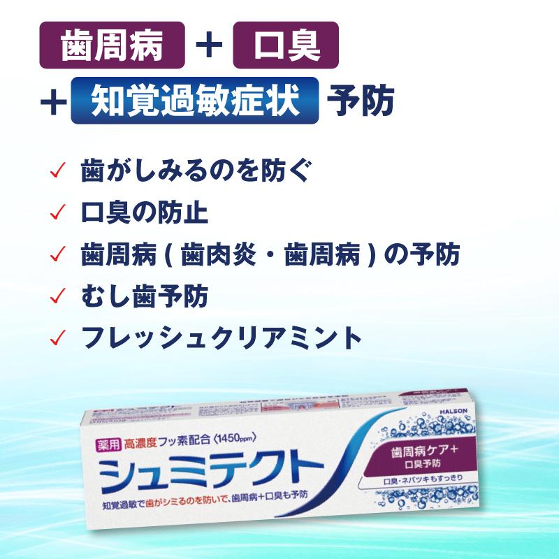 グラクソ・スミスクライン シュミテクト 歯周病ケア＋口臭予防 1本(90g) フッ素1450ppm 知覚過敏 医薬部外品 : 歯科医院専売品のデンタルフィット - 通販 - Yahoo!ショッピング